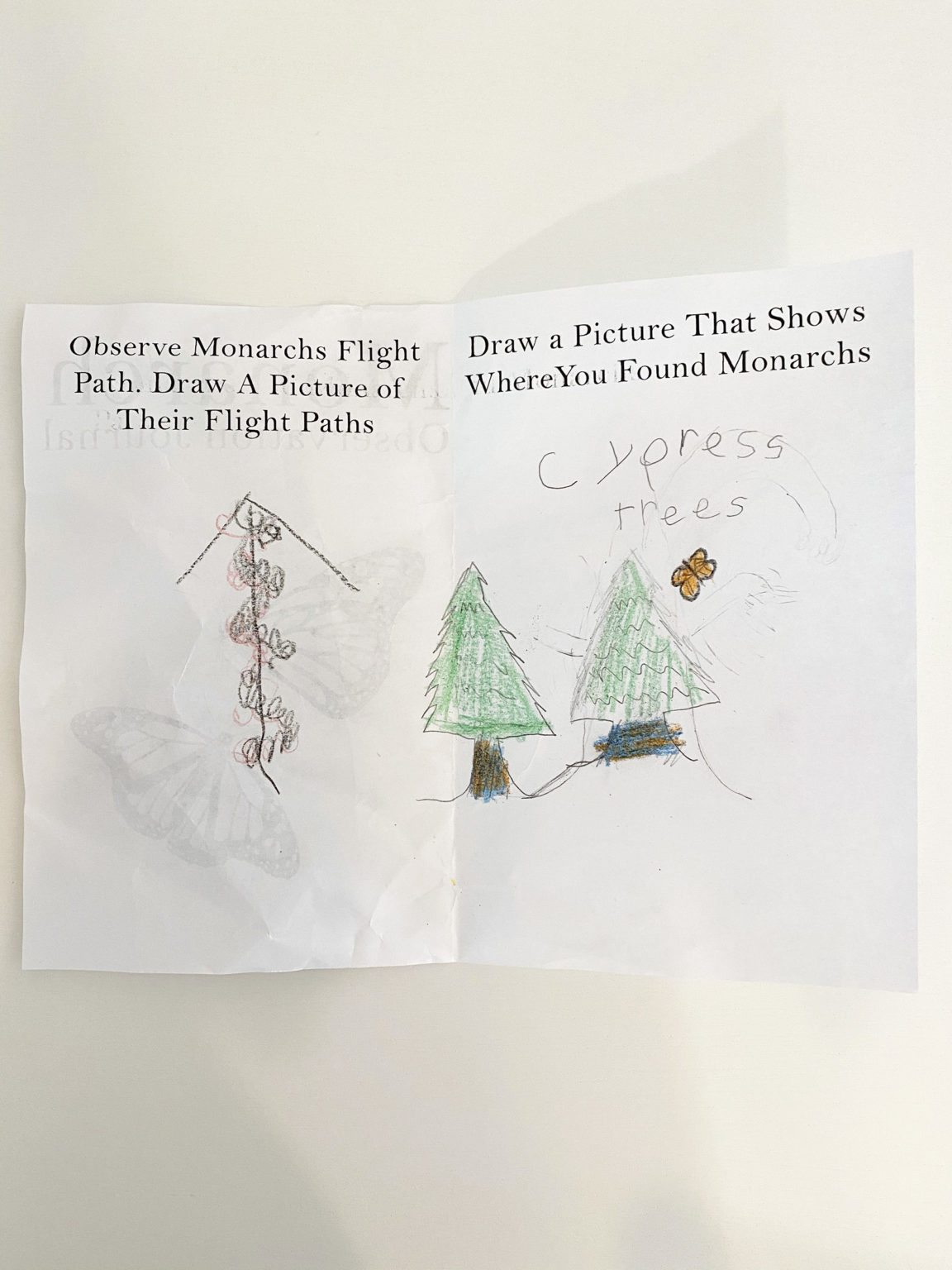 Free Monarch Observation Journal