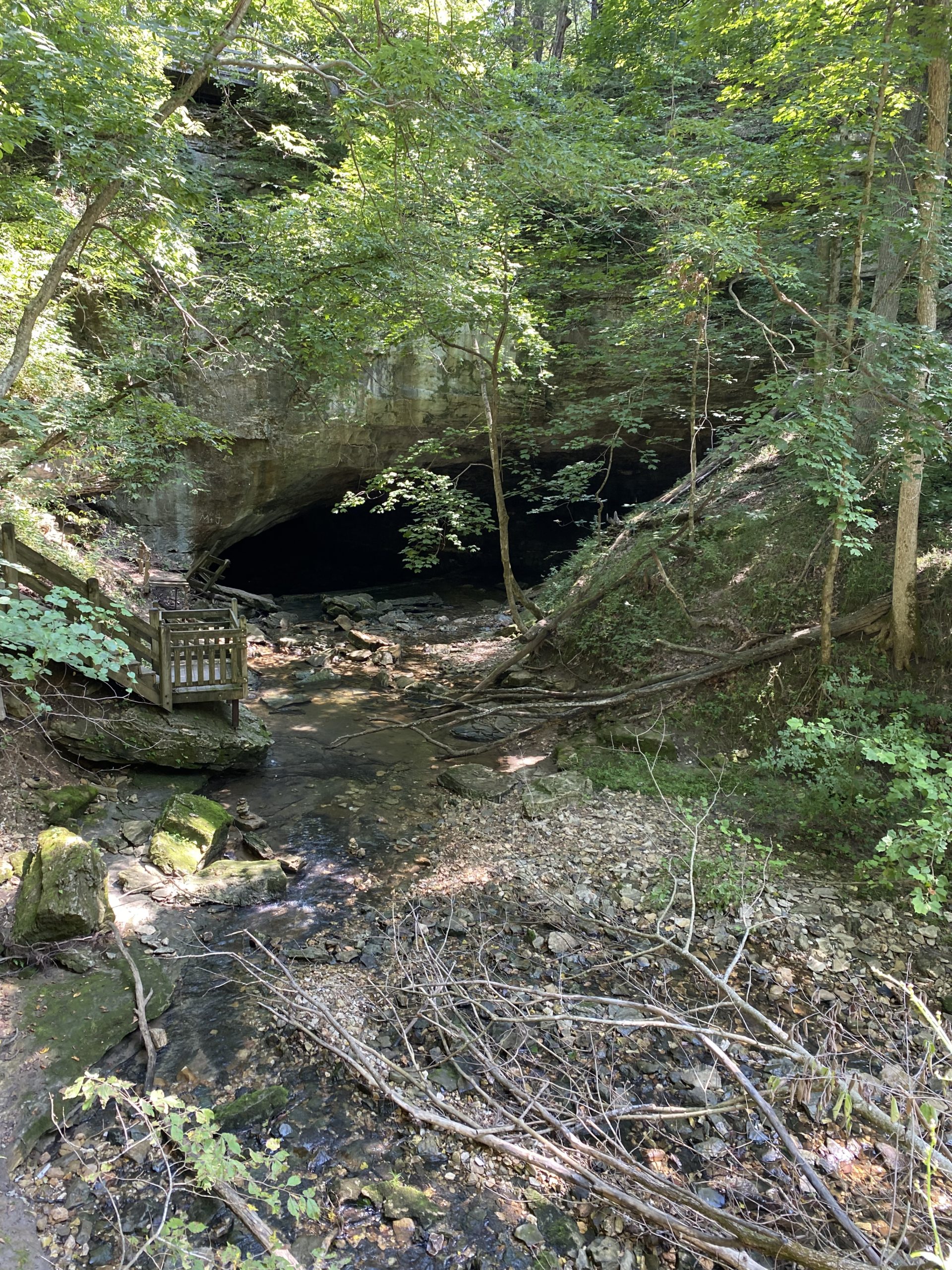 DIY No Sew Guinea Pig Rooting or Forage Mat