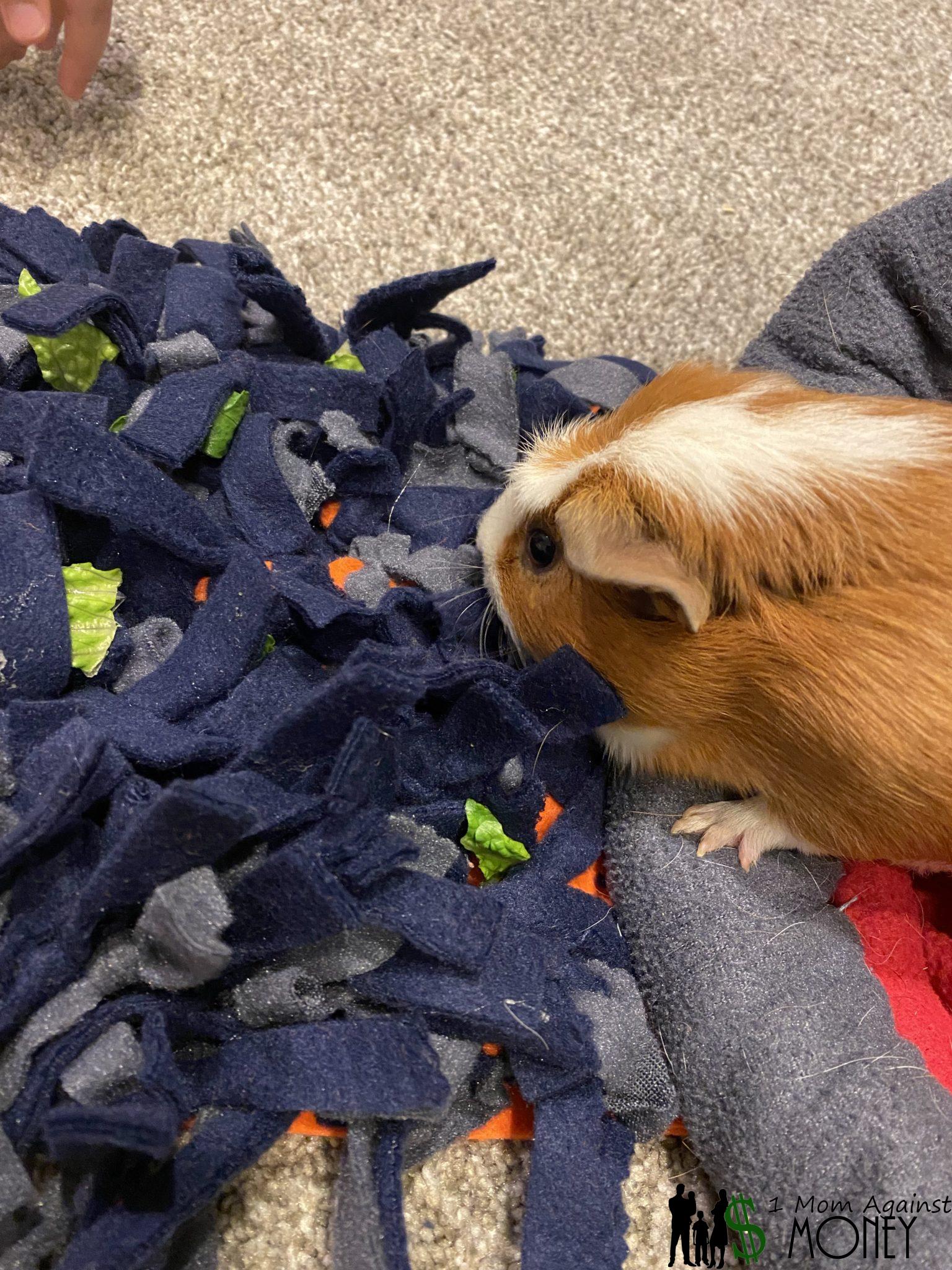 DIY No Sew Guinea Pig Rooting or Forage Mat